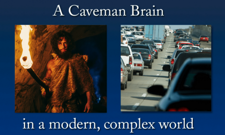 Brain Fitness And Learning Overview - EverAgeless
